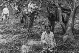 Origins of the Italian Mafia – Italian Culture